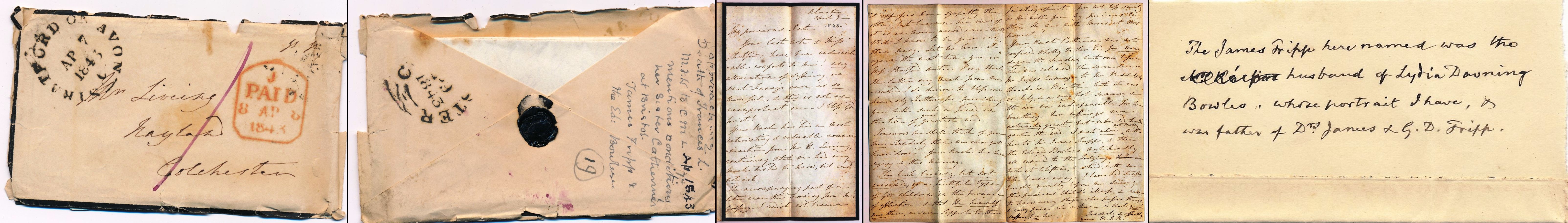 The King's Candlesticks: Pedigrees Maria DOWNING [7075]